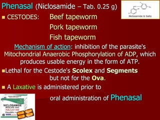 Pharmacology of Antihelmintic and Antisyphilitic Drugs | PPT ...