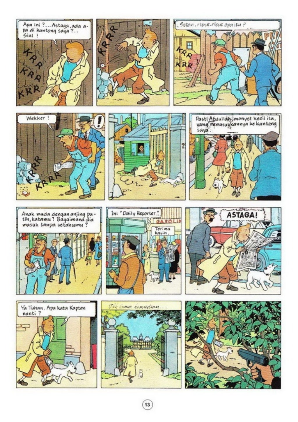 Hiu-hiu Laut Merah | PDF