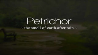 19 least used words in english that should be used more often | PPTX