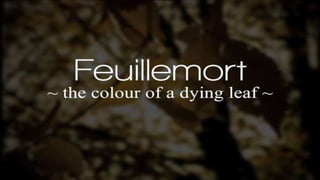 19 least used words in english that should be used more often | PPTX