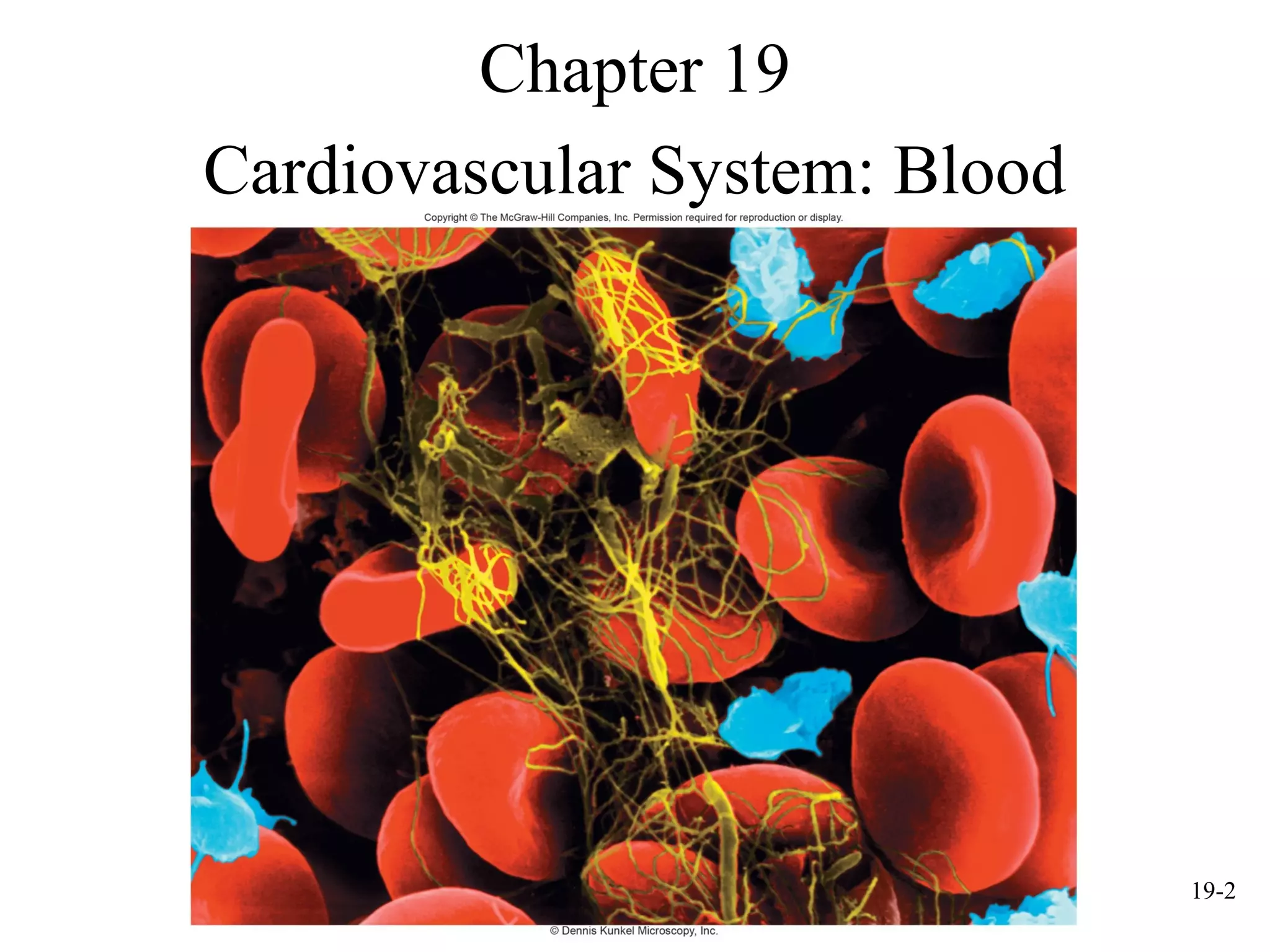 mcgraw hill chapter 19 blood power point | PPT