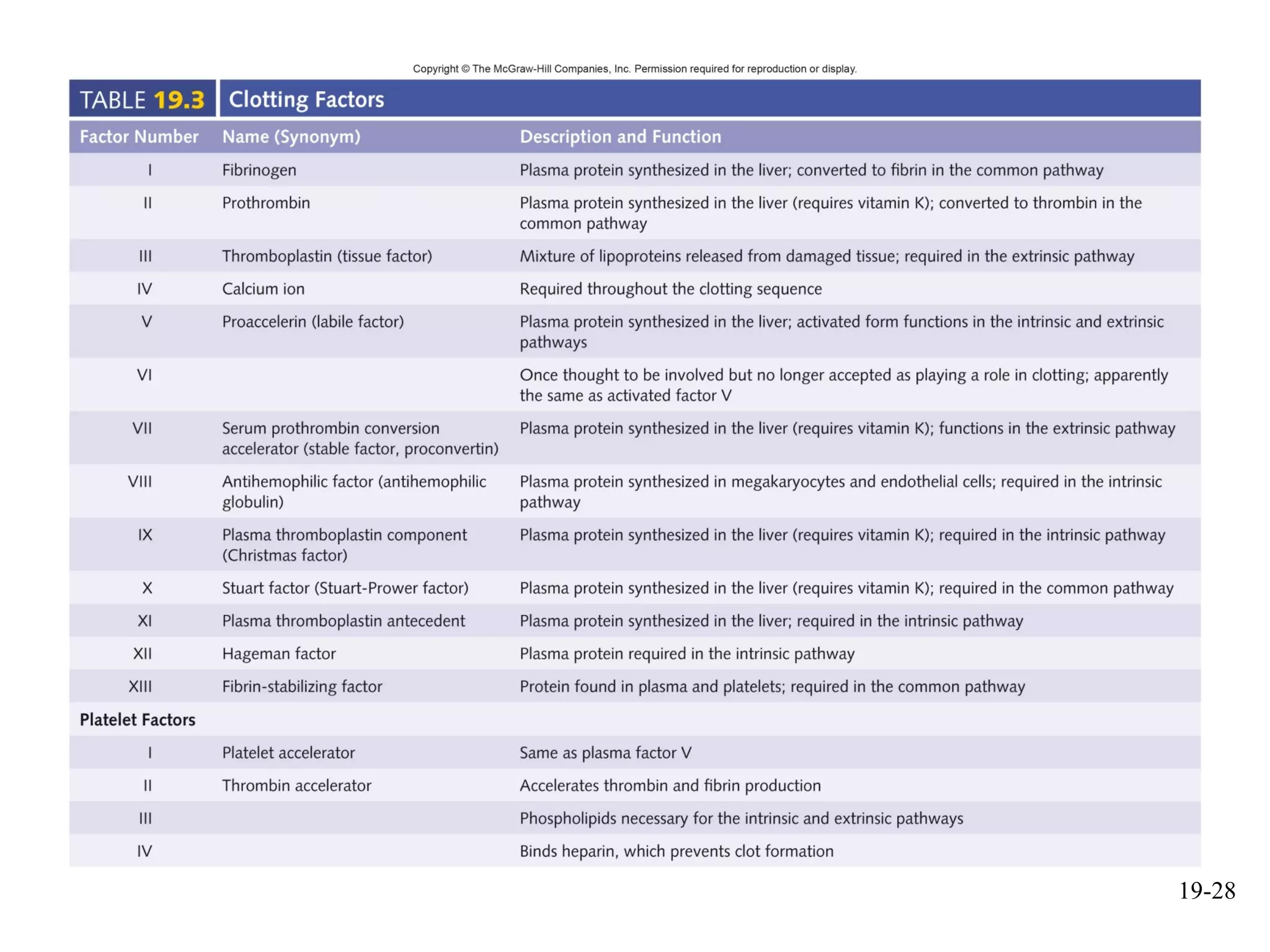 mcgraw hill chapter 19 blood power point | PPT