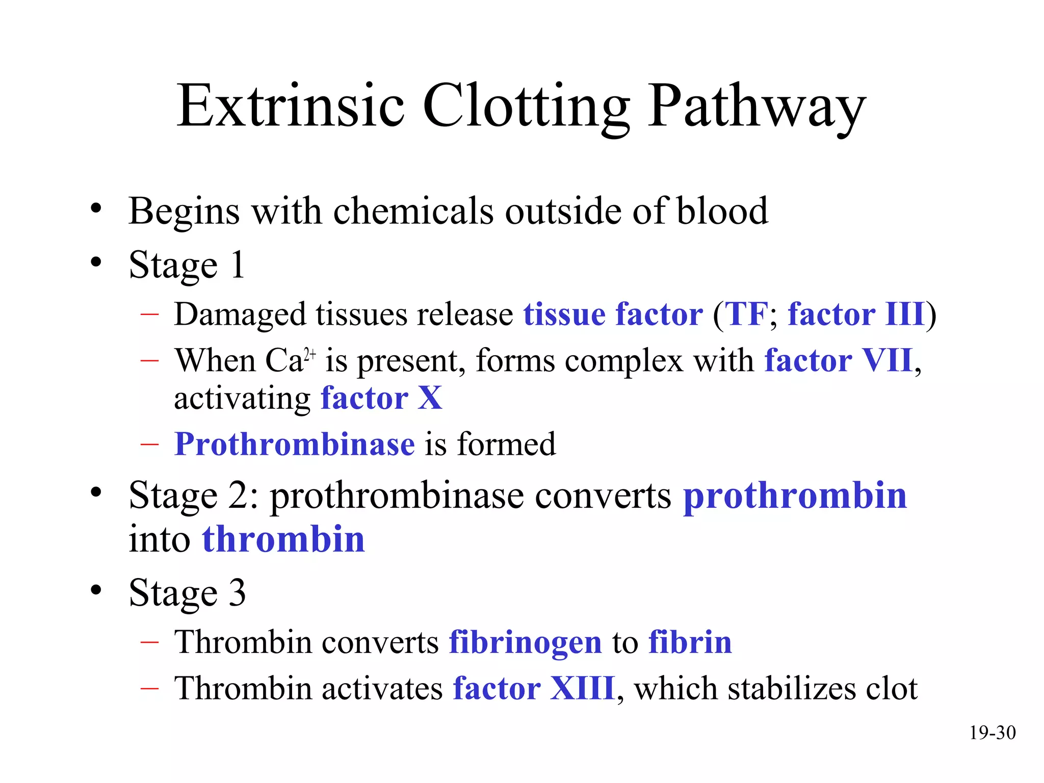 mcgraw hill chapter 19 blood power point | PPT
