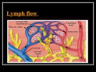 LYMPHATIC SYSTEM | PPT | Blood Disorders | Diseases and Conditions