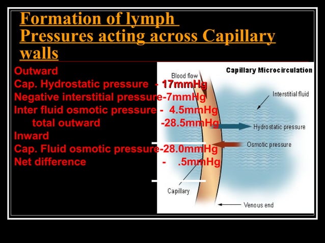 LYMPHATIC SYSTEM | PPT | Blood Disorders | Diseases and Conditions