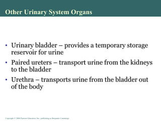 Renal physiology for medical students, urology and nephrology residents ...