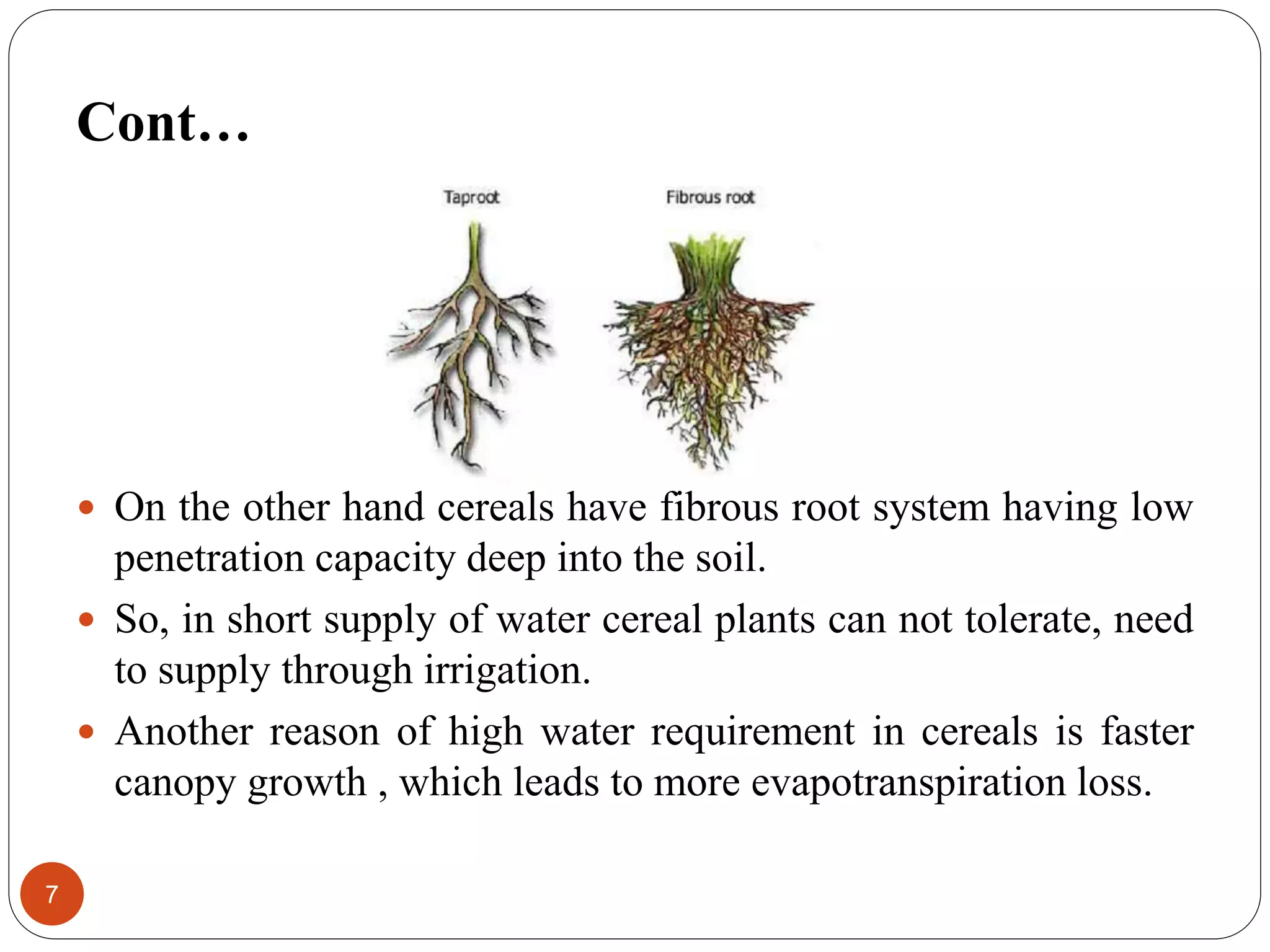 Reasons of less water requirement in pulses crops than cereal crops | PPTX