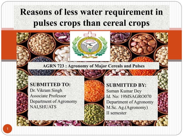 Reasons of less water requirement in pulses crops than cereal crops | PPT