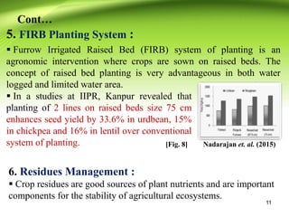 Role of Pulses in Conservation Agriculture | PPTX
