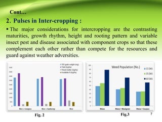 Role of Pulses in Conservation Agriculture | PPTX