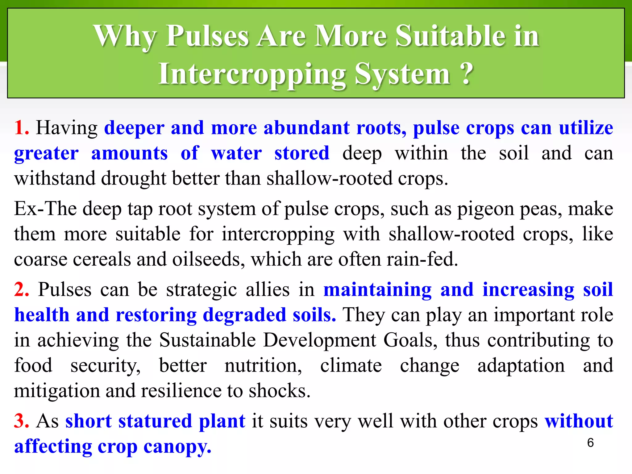 Why Pulses Are More Suitable in Intercropping System ? | PPTX