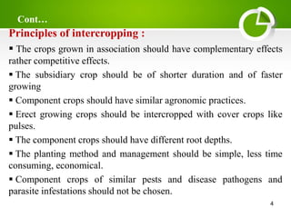 Why Pulses Are More Suitable in Intercropping System ? | PPTX