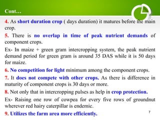 Why Pulses Are More Suitable in Intercropping System ? | PPTX