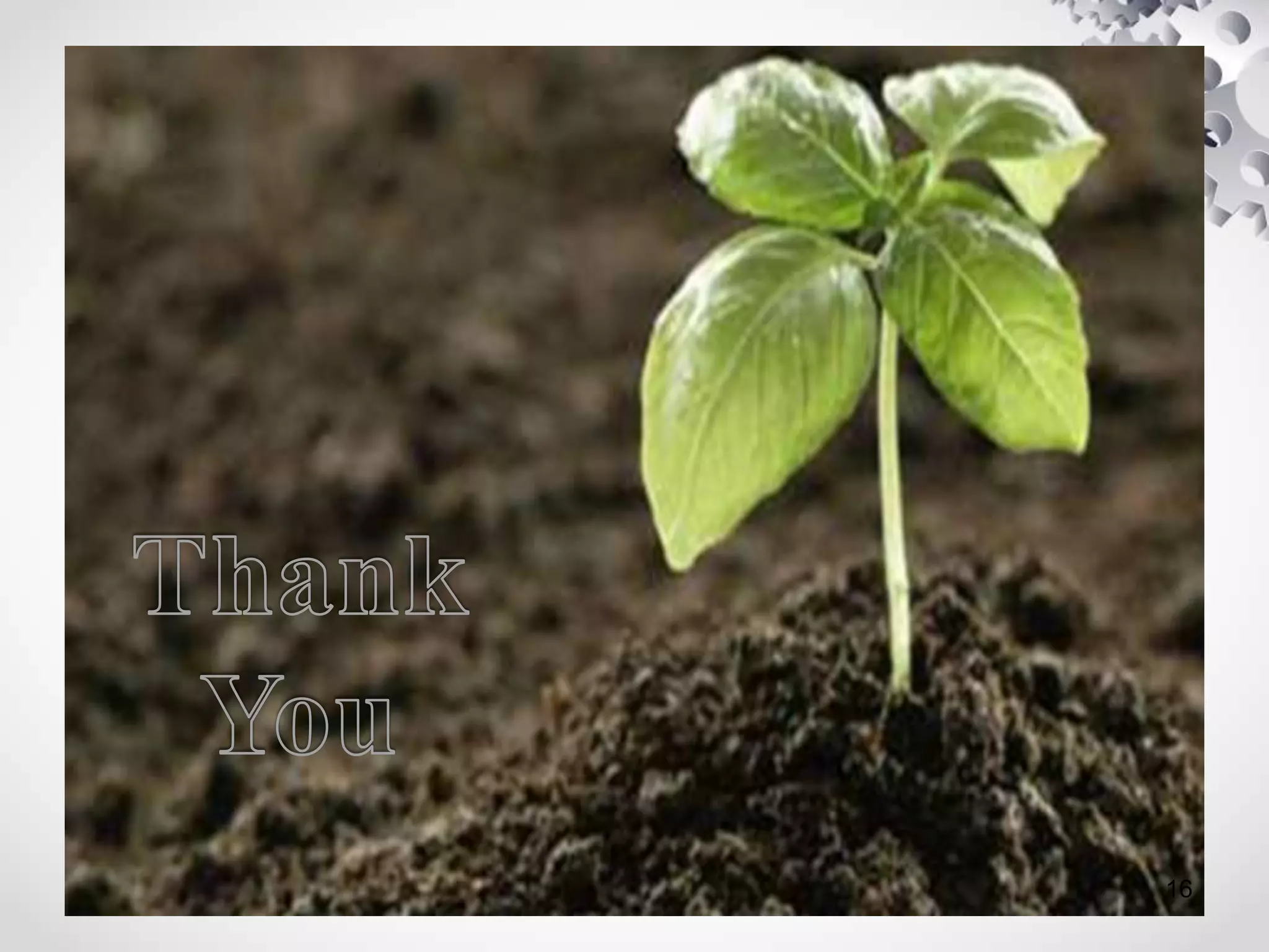 Bio-fertilizer inoculation procedure for major pulses & Advantages and ...