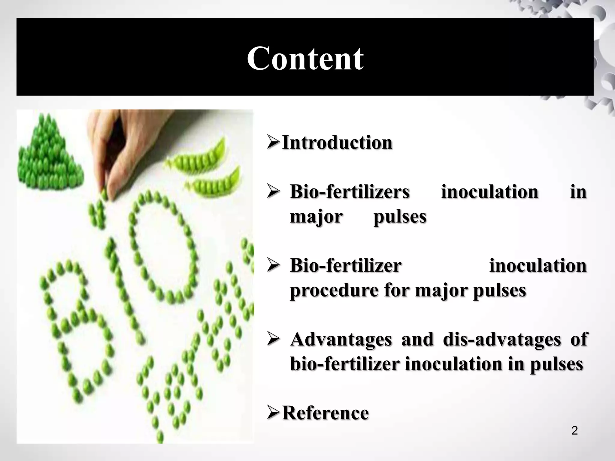 Bio-fertilizer inoculation procedure for major pulses & Advantages and disadvantages of bio ...