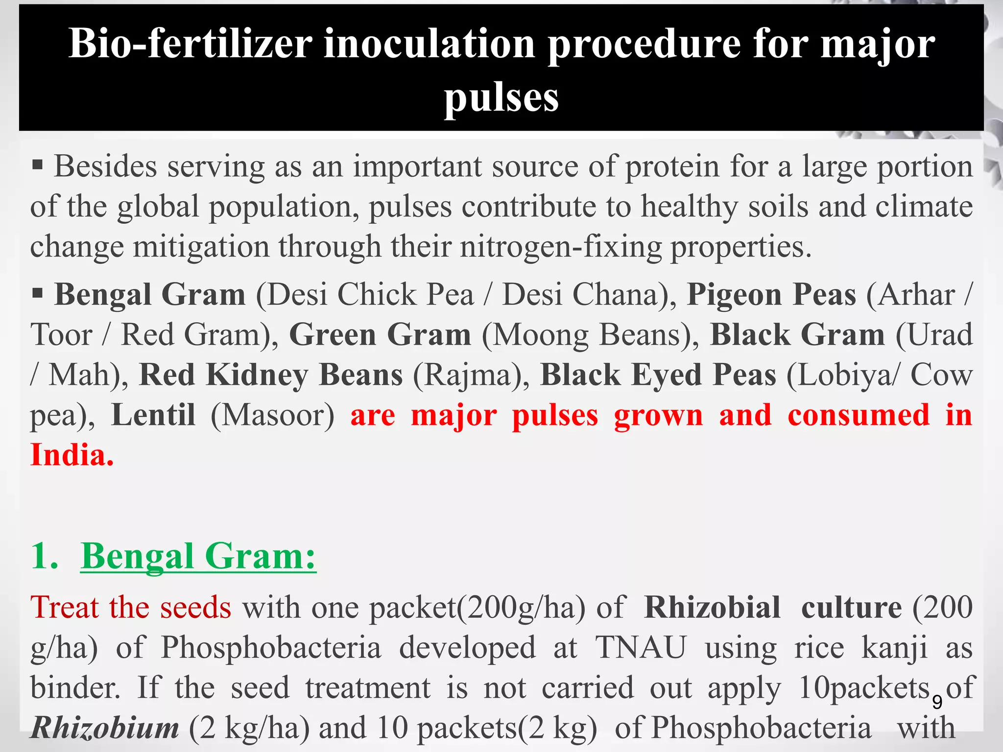 Bio-fertilizer inoculation procedure for major pulses & Advantages and ...