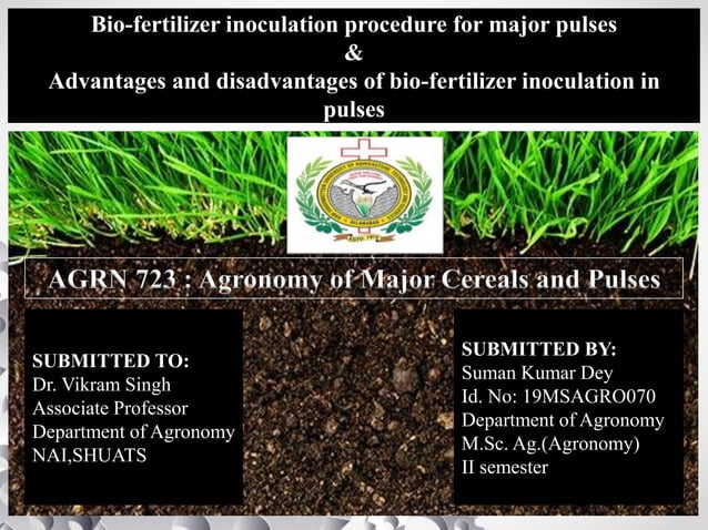 Bio-fertilizer inoculation procedure for major pulses & Advantages and ...