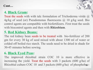 Bio-fertilizer inoculation procedure for major pulses & Advantages and ...