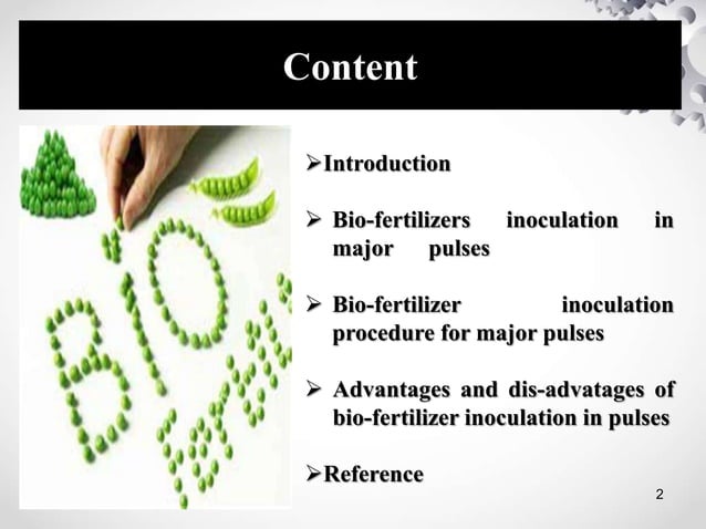 Bio-fertilizer inoculation procedure for major pulses & Advantages and ...