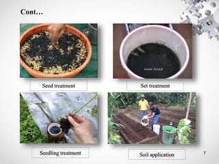 Bio-fertilizer inoculation procedure for major pulses & Advantages and disadvantages of bio ...
