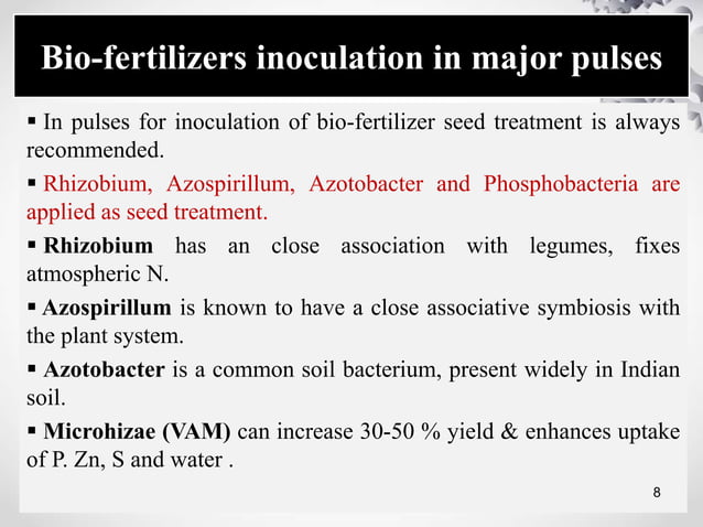 Bio-fertilizer inoculation procedure for major pulses & Advantages and ...