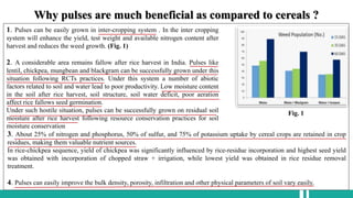 why pulses are much beneficial than cereals ? & why farmers are not ...