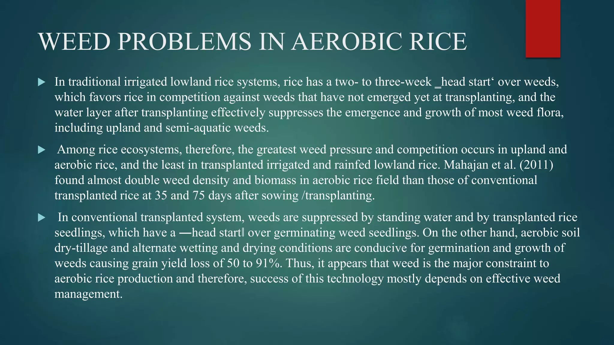 Aerobic Rice and Its Implication | PPTX