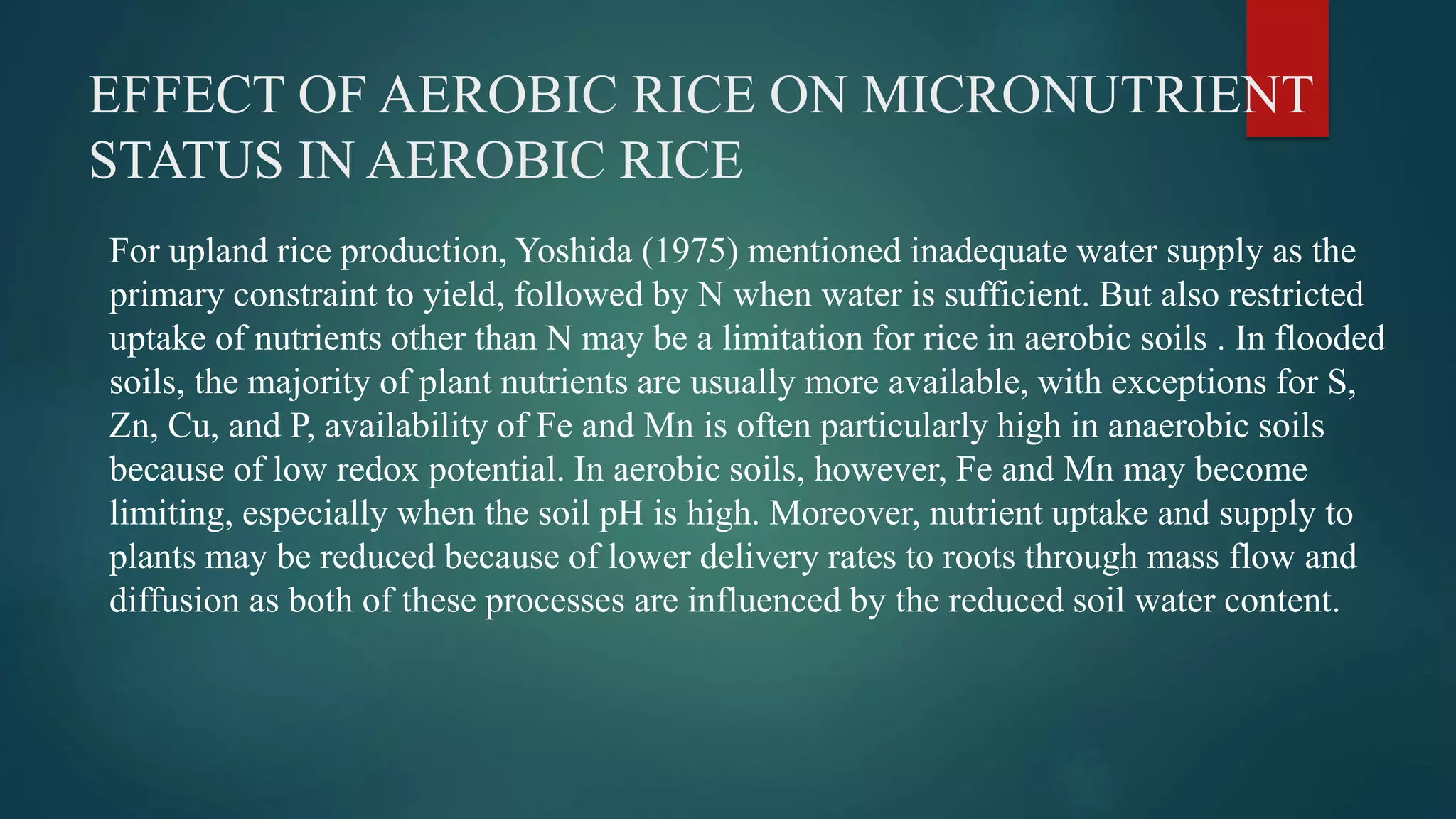 Aerobic Rice and Its Implication | PPTX