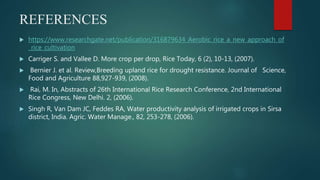 Aerobic Rice and Its Implication | PPTX