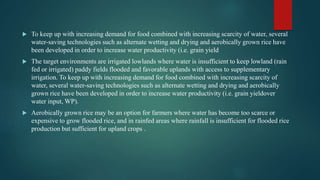 Aerobic Rice and Its Implication | PPTX