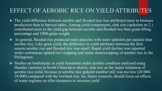 Aerobic Rice and Its Implication | PPTX