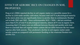Aerobic Rice and Its Implication | PPTX