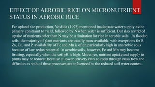 Aerobic Rice and Its Implication | PPTX