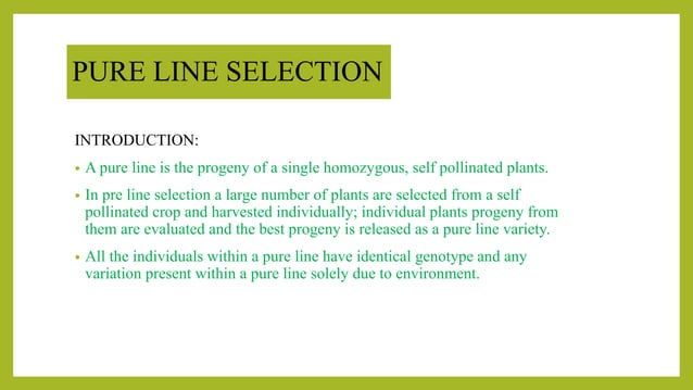 Pure Line Theory and Pure line Selection | PPTX