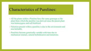 Pure Line Theory and Pure line Selection | PPTX