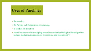 Pure Line Theory and Pure line Selection | PPTX