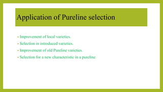 Pure Line Theory and Pure line Selection | PPTX