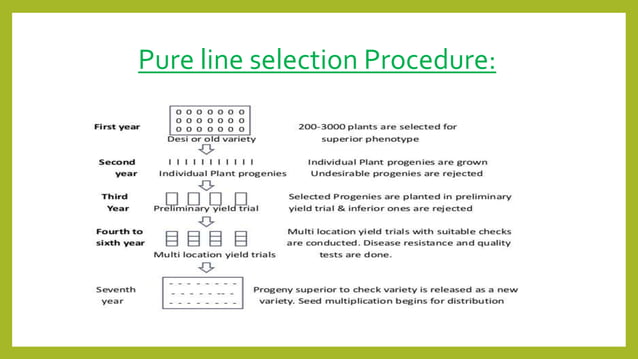 Pure Line Theory and Pure line Selection | PPTX