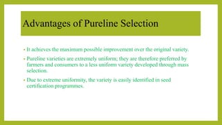 Pure Line Theory and Pure line Selection | PPTX