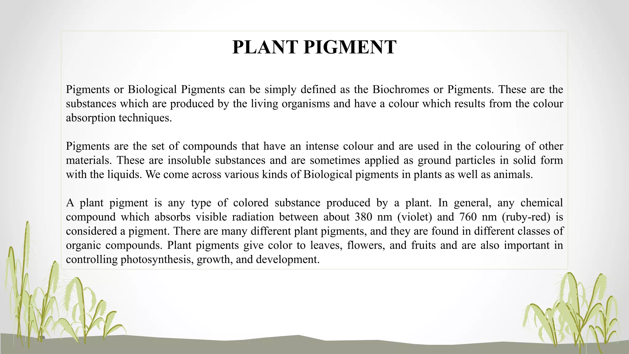 Plant pigments | PPTX