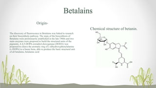 Plant pigments | PPTX