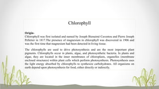 Plant pigments | PPTX