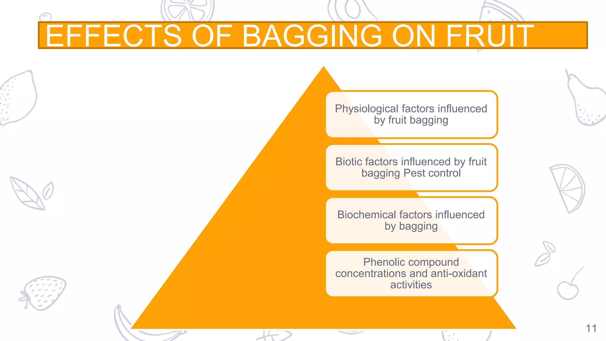 Pre-Harvest fruit bagging for quality improvement | PPTX