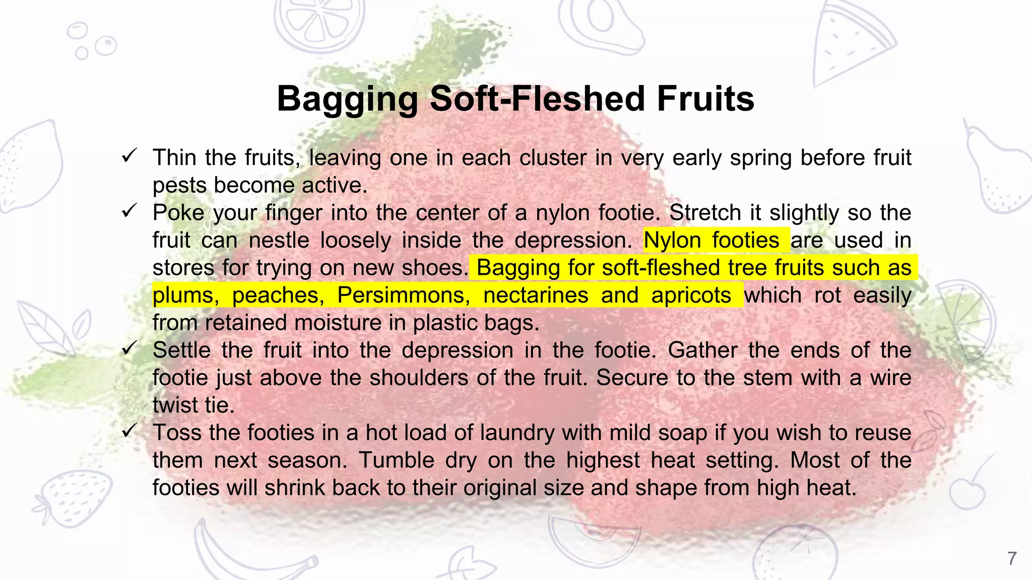 Pre-Harvest fruit bagging for quality improvement | PPTX