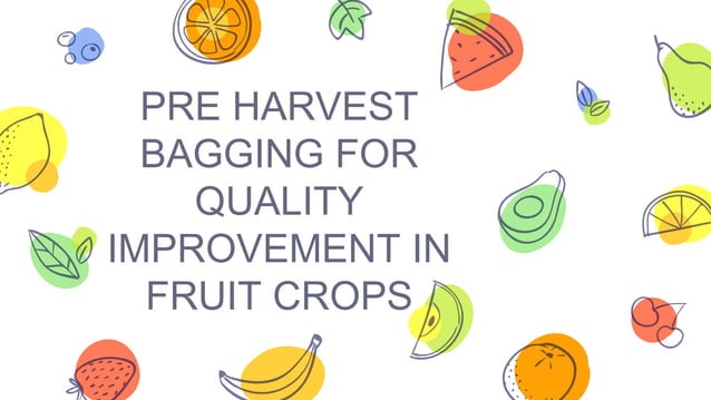 Pre-Harvest fruit bagging for quality improvement | PPTX | Gardening ...