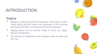Pre-Harvest fruit bagging for quality improvement | PPTX