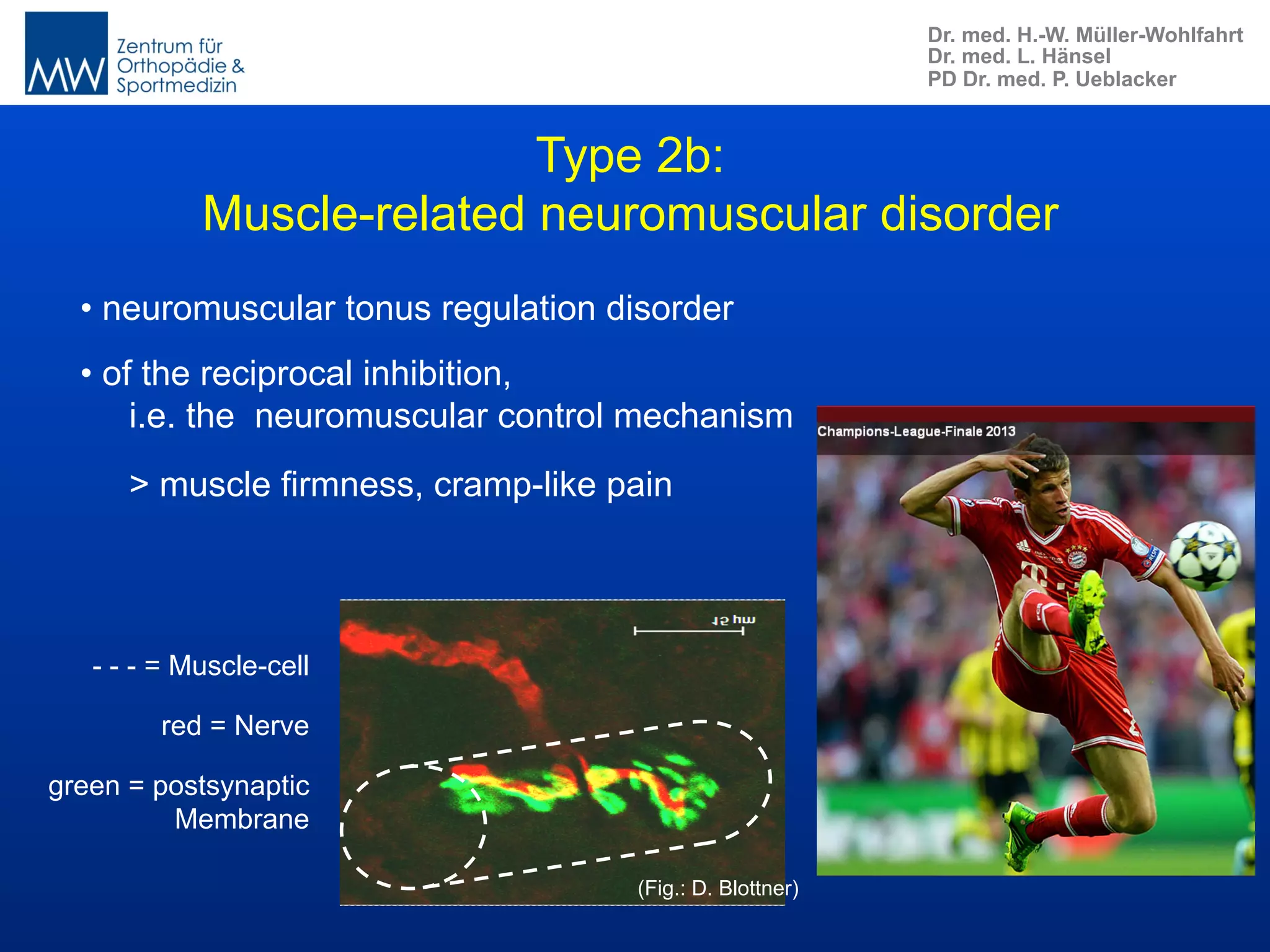 Bryan English - classification of muscle injuries in sport | PDF