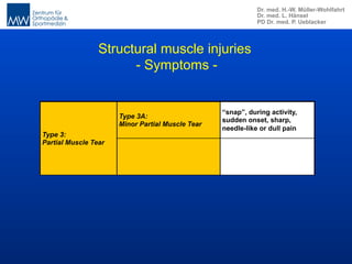 Bryan English - classification of muscle injuries in sport | PDF