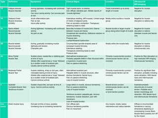 Bryan English - classification of muscle injuries in sport | PDF