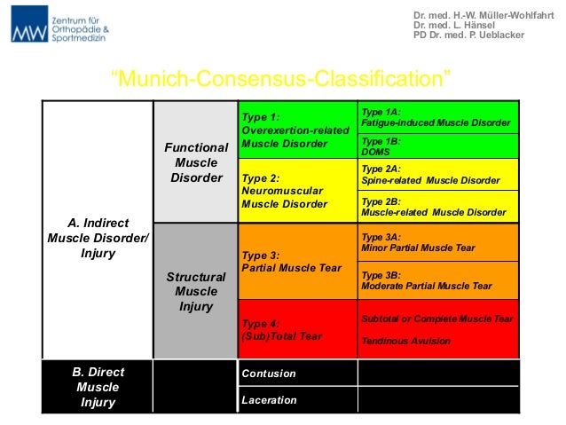 Munich Muscle Injury Classification - British athletics muscle injury ...
